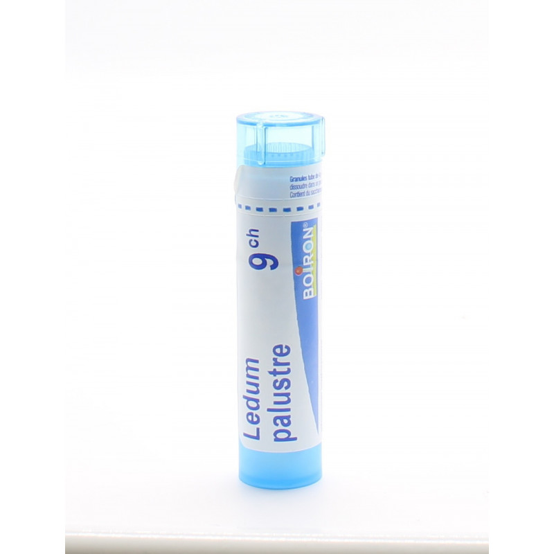 Boiron Ledum Palustre 9CH Tube Granules | Univers Pharmacie