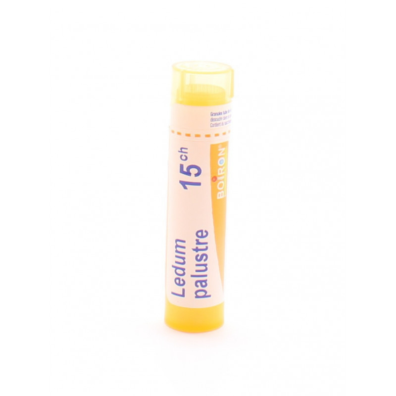 Boiron Ledum Palustre 15ch tube granules | Univers Pharmacie